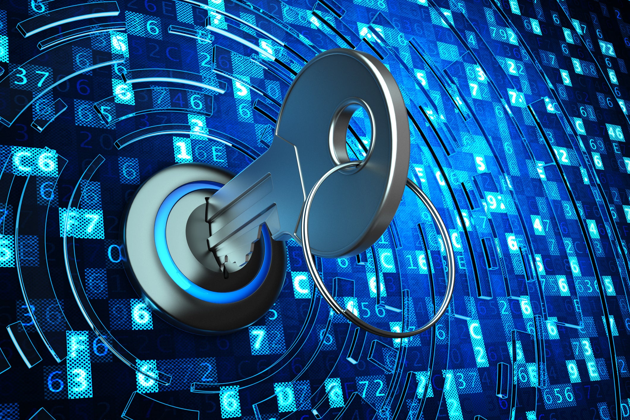 Using a Unique Identifier on Your Individual Records