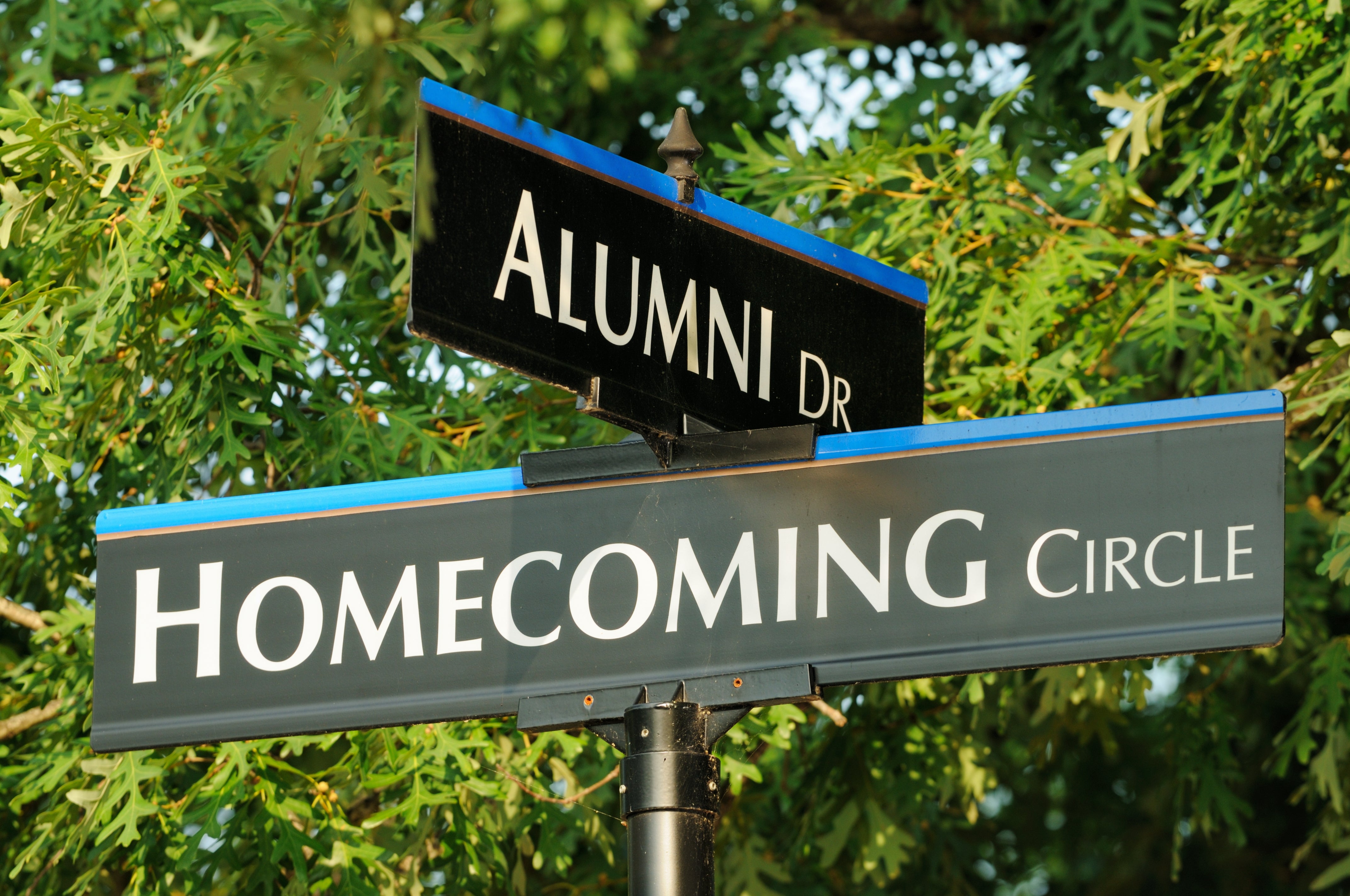 How to Hype Homecoming Using Social Media | The ENGAGE Blog by Blackbaud