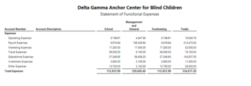 Statement of Functional Expenses | Nonprofit Glossary Guide\