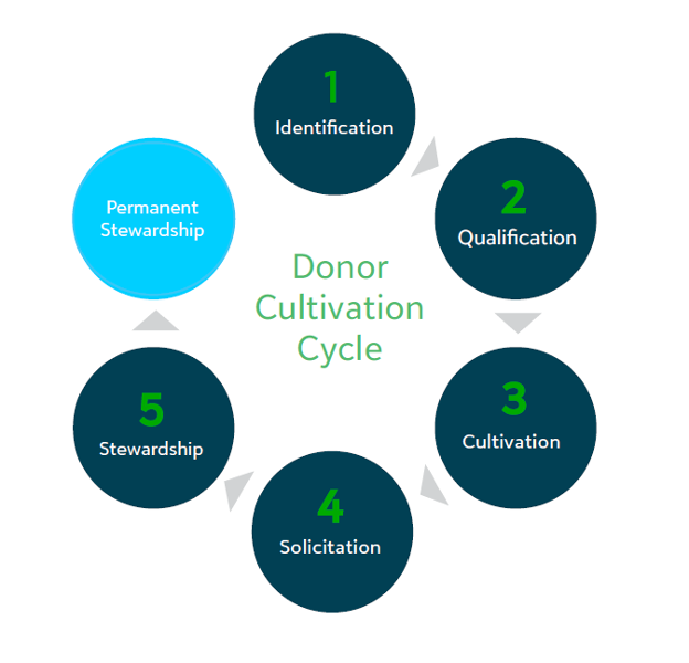 Donor Cultivation Cycle: Tips for Each Major Stage of Fundraising